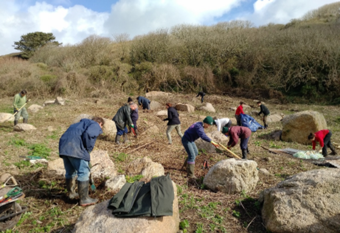 National Trust Partnership Working Day | PK Porthcurno