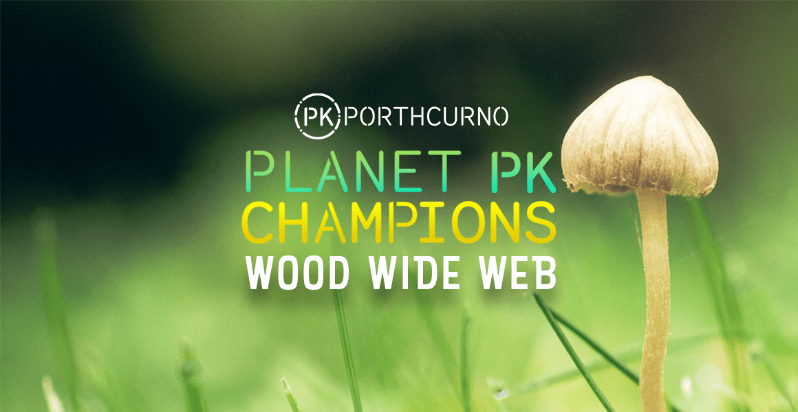 PK Porthcurno | Planet PK Champions: Wood Wide Web