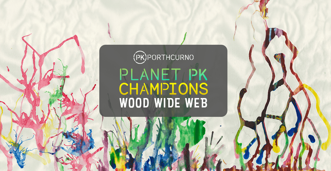 Planet PK Champions and the Wood Wide Web | PK Porthcurno